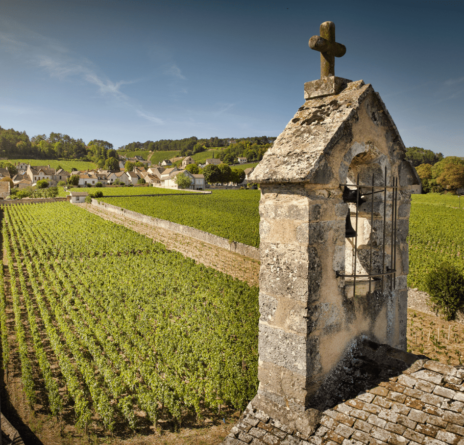 Présentation | Domaine Clos de la Chapelle